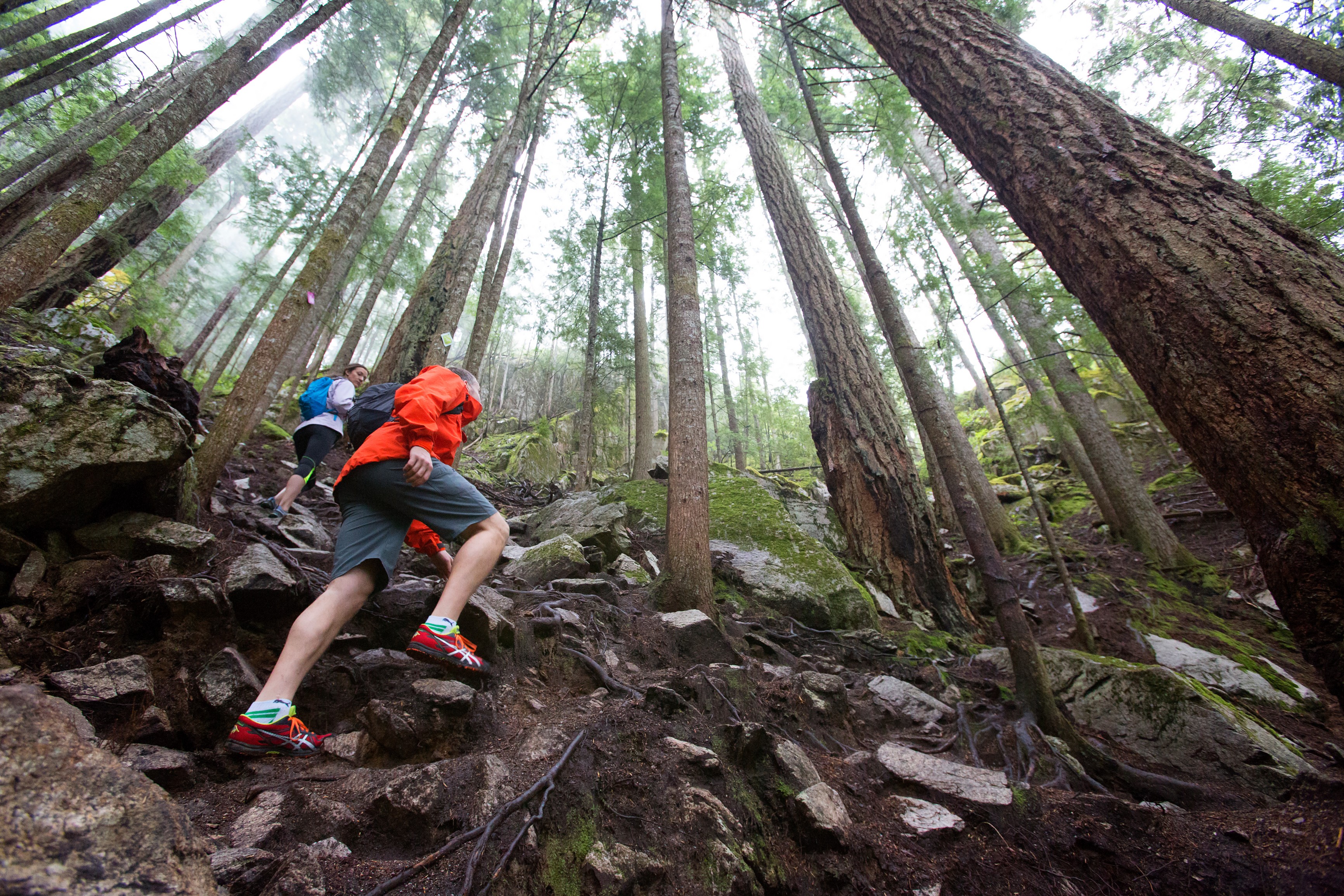 Hiking | Sea to Sky Gondola