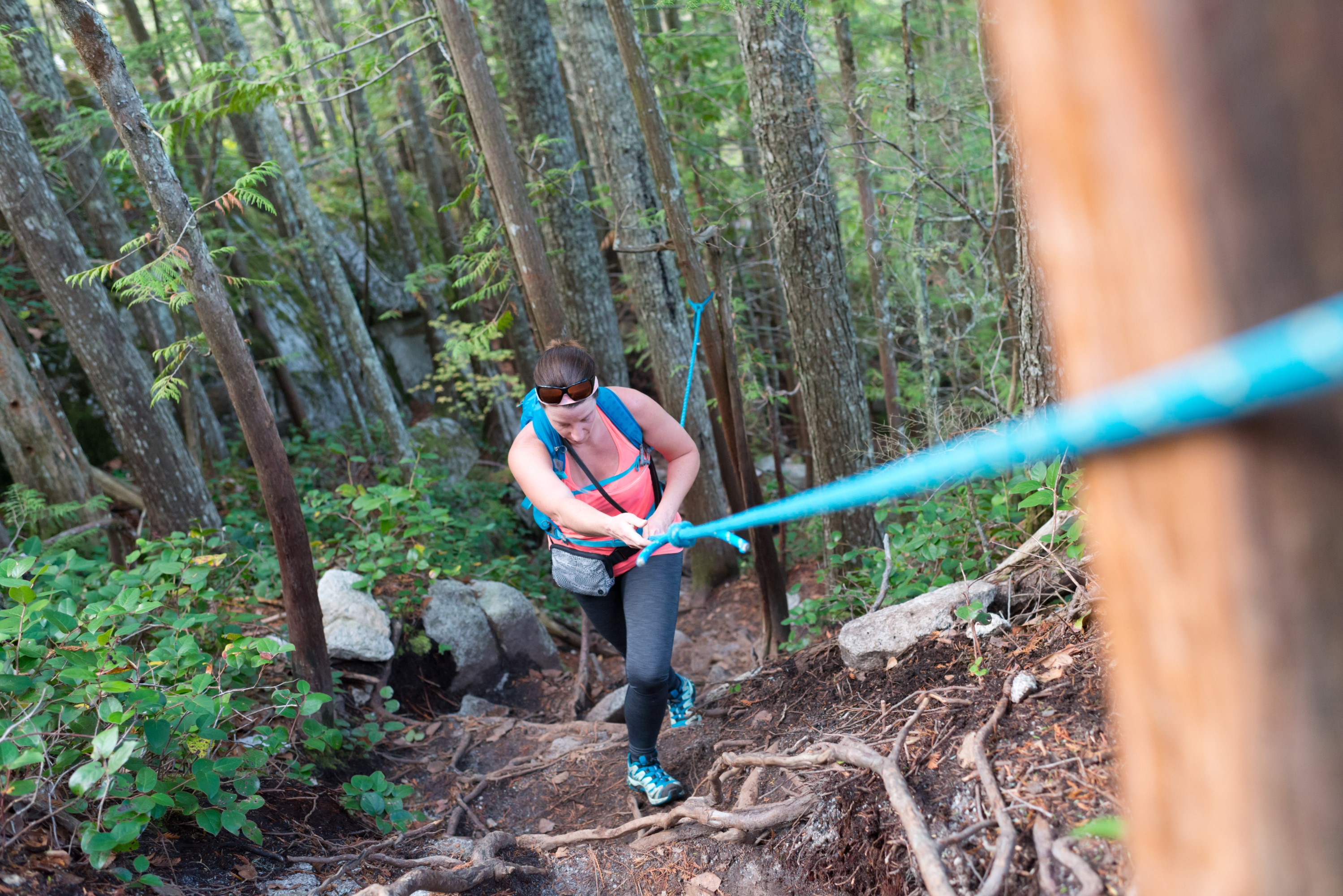 Sea To Summit Trail | Sea to Sky Gondola